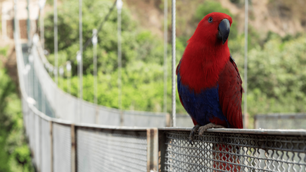 Parque Tricao obtuvo premio que lo posiciona como uno de los mejores ...